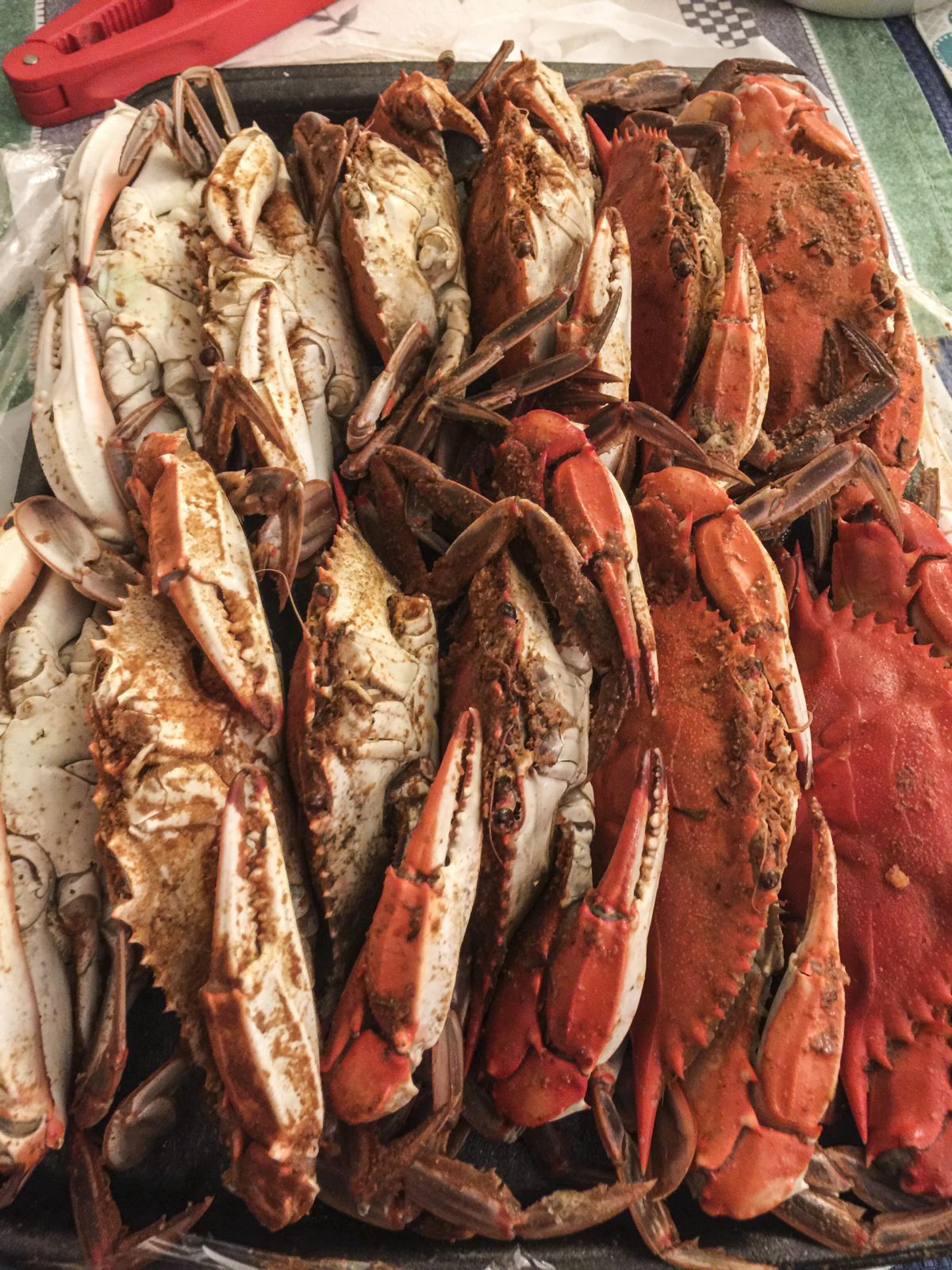 Maryland Crabs: A Guide to the East Coast’s Essential Summer Feast