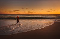 A Guide to Maryland Fishing Licenses - Two Crown Home Team